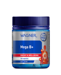 Mega B – Wagner Health