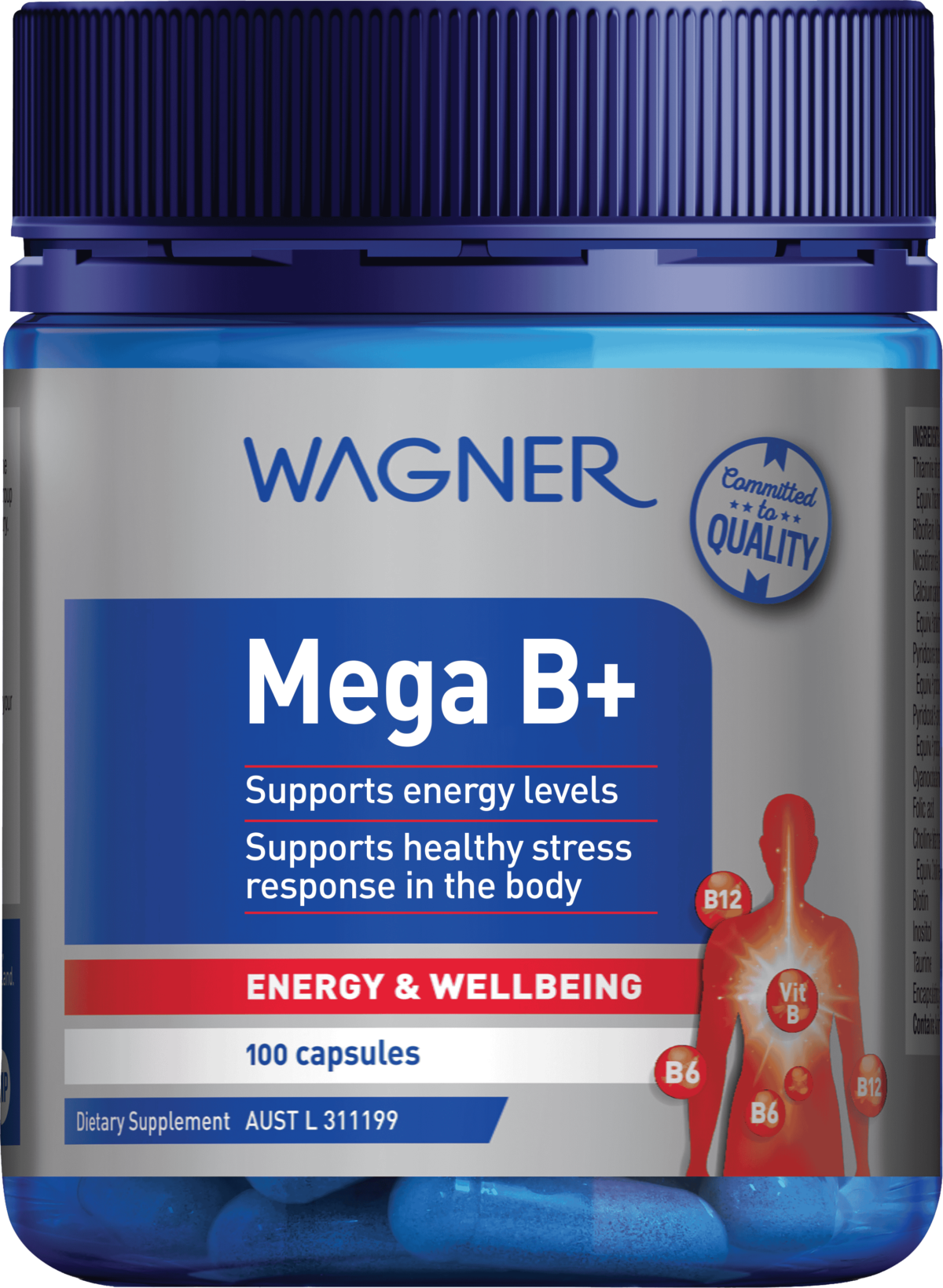 Mega B – Wagner Health